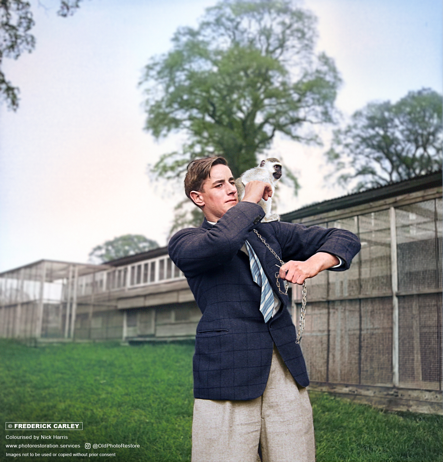 Maidstone Zoo brought to life in colour, 90 years after it opened ...