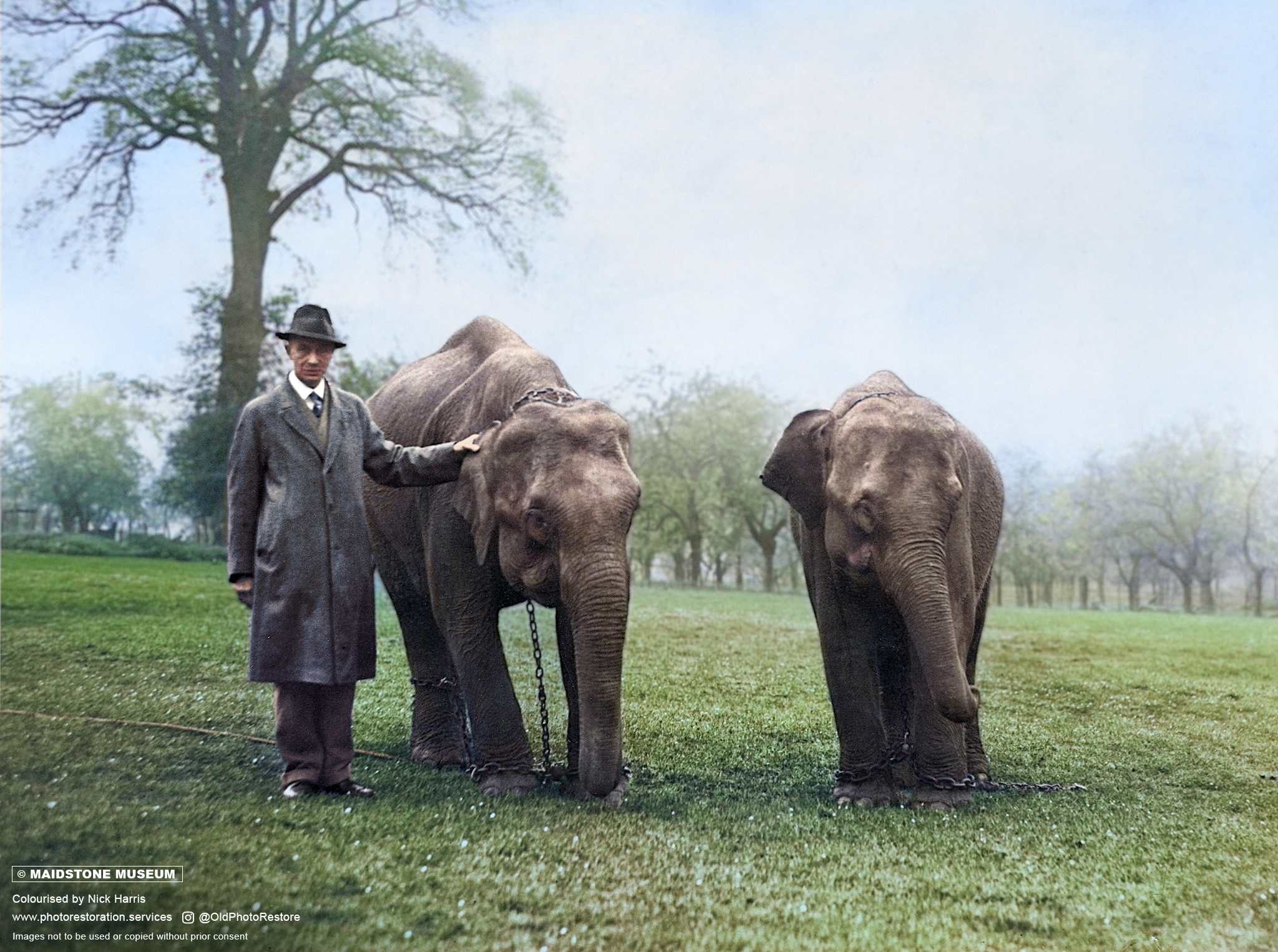 Maidstone Zoo brought to life in colour, 90 years after it opened ...